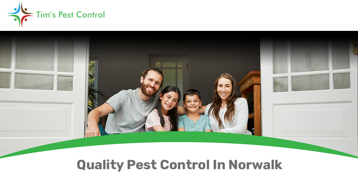 Pest Control in Norwalk, CT | Tim’s Pest Control LLC